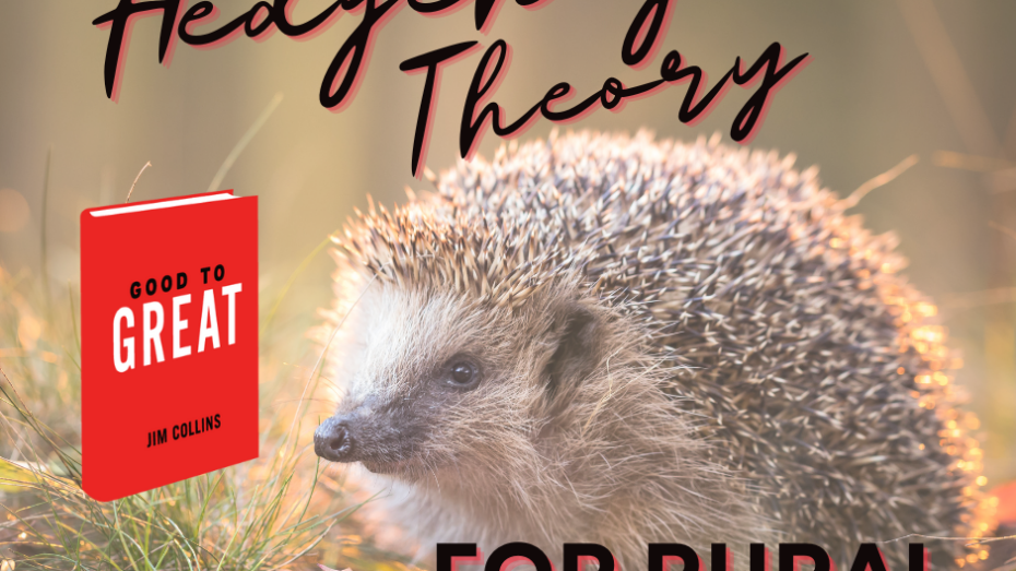 Hedgehog Nonprofit Theory ⋆ Steve Dogiakos